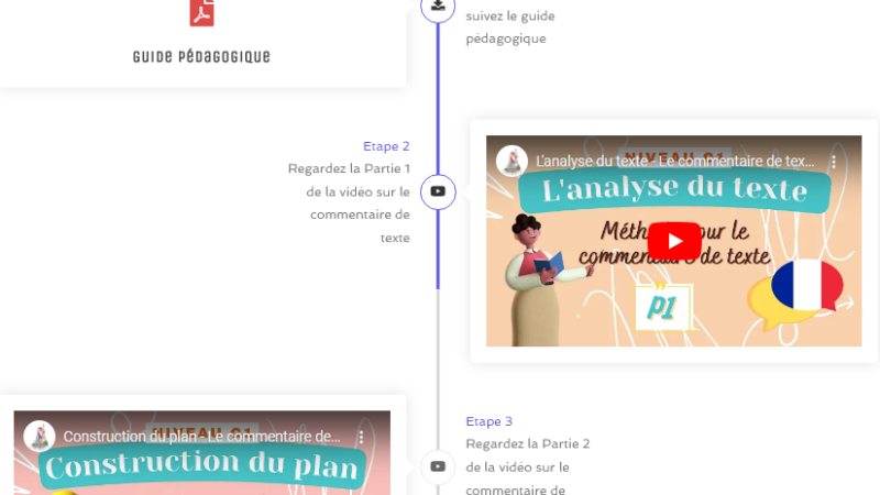 Niveau C1 – Le monde du FLE
